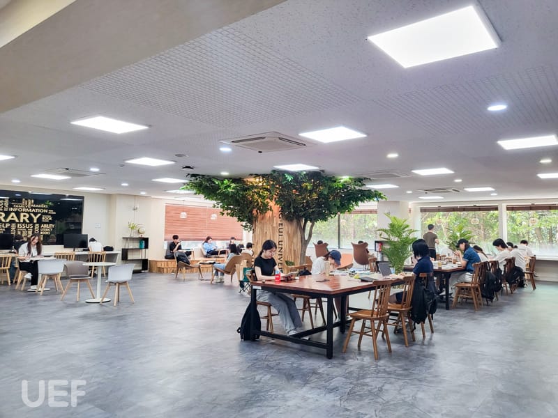 UEF Representatives Forge Multifield Collaboration Opportunities with ...